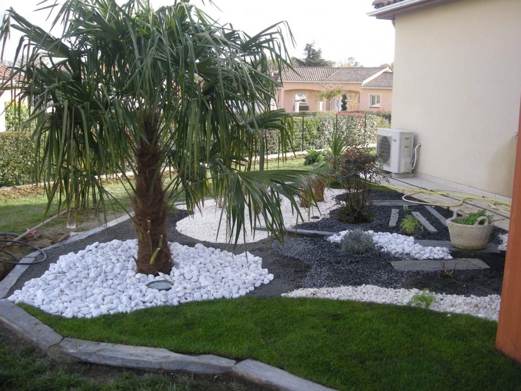 Idee Parterre Avec Palmier
